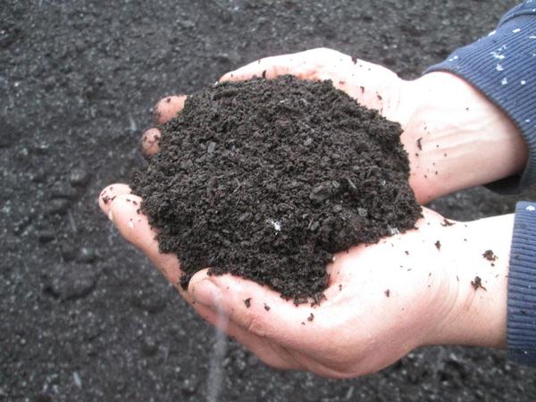 All Organic Compost & Biochar Mix - Martin's Farm Compost and Mulch